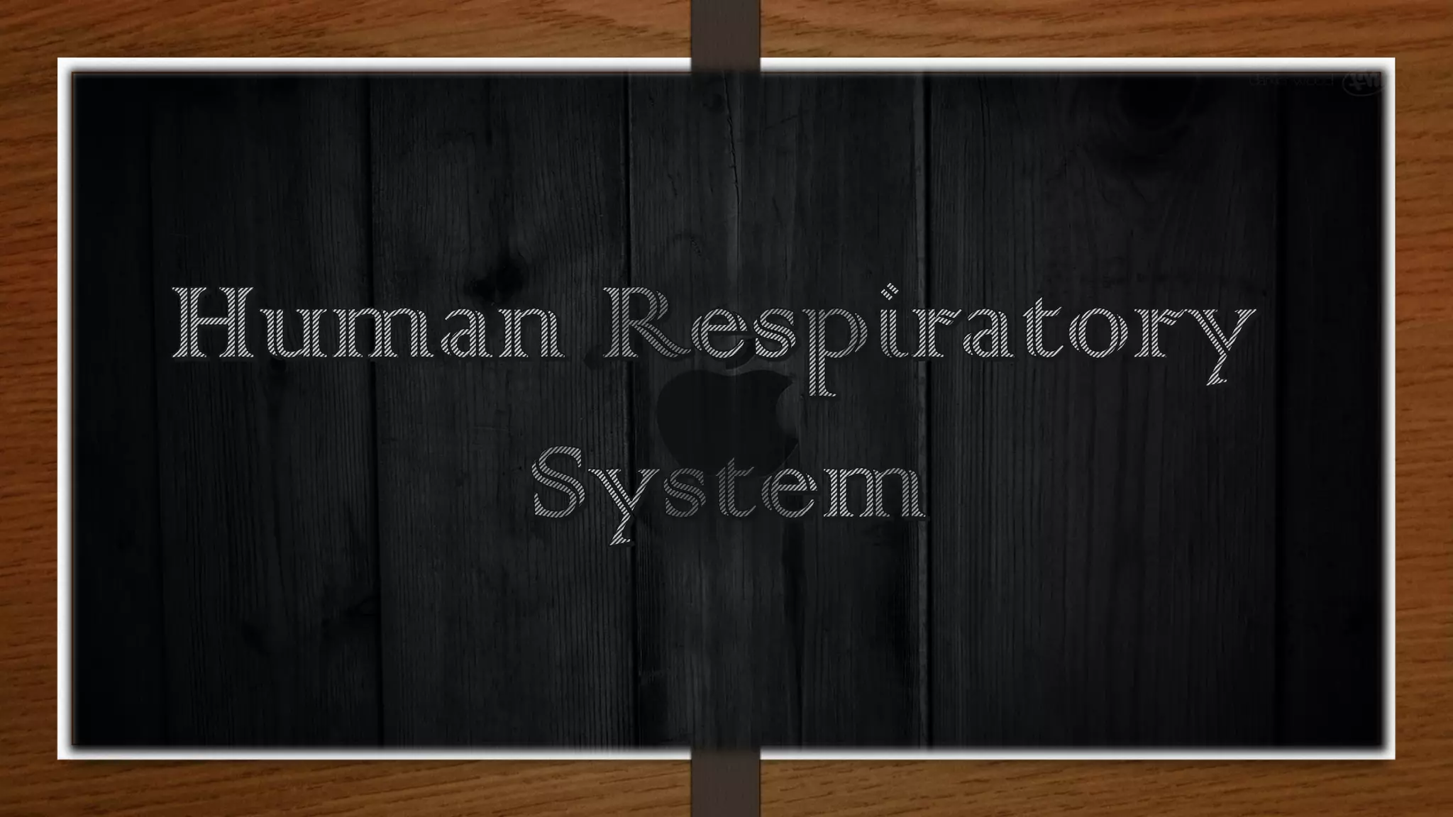 Human respiratory system | PDF