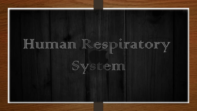 Human respiratory system | PPT