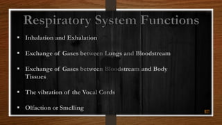Human respiratory system | PDF