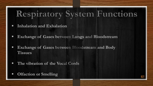 Human respiratory system | PPT