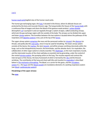 human respiratory system.docx human body | DOCX