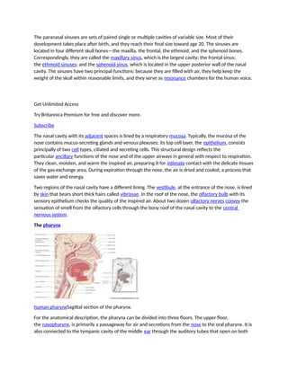 human respiratory system.docx human body | DOCX