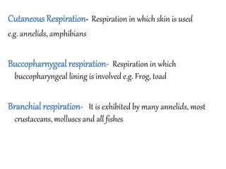 Human respiratory system | PDF
