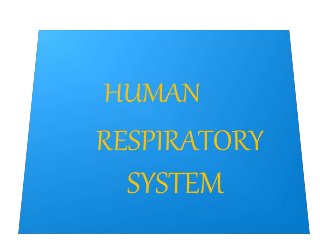 Human respiratory system powerpoint presentation | PPTX