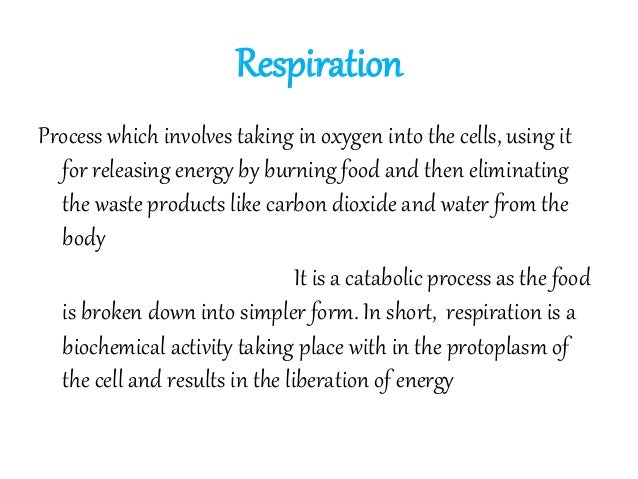 Human respiratory system powerpoint presentation | PPTX