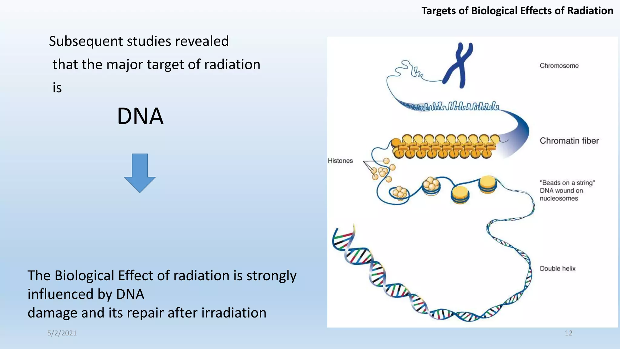 Radiobiology | PPTX