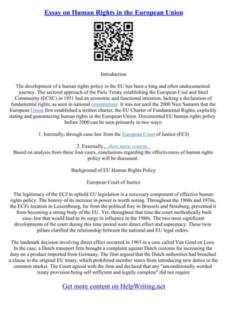 Human Right Essay | PDF