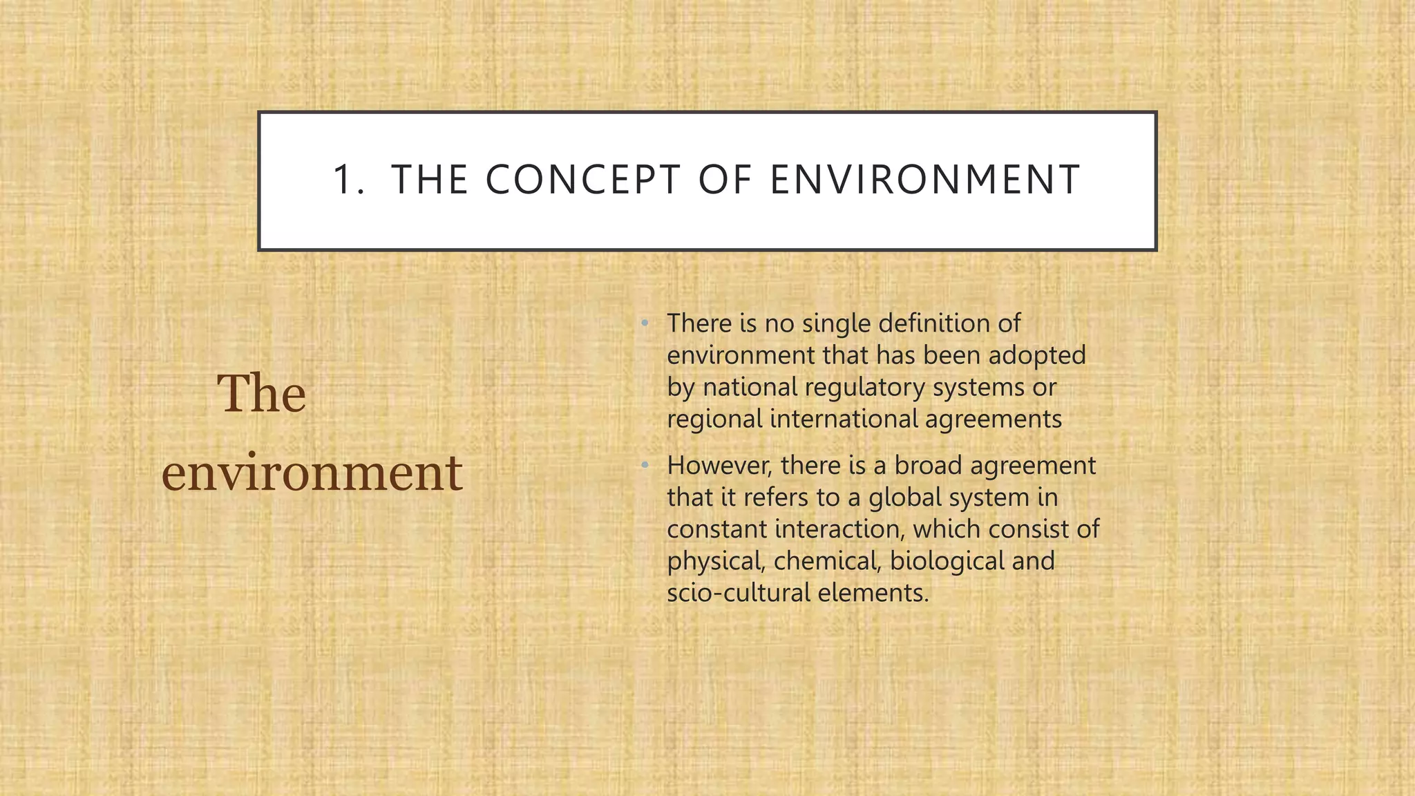 environment and human rights | PPTX