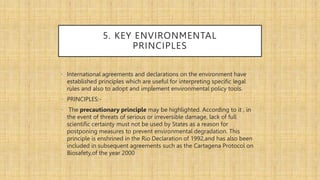 environment and human rights | PPTX