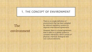 environment and human rights | PPTX