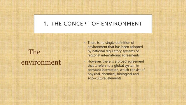 environment and human rights | PPTX