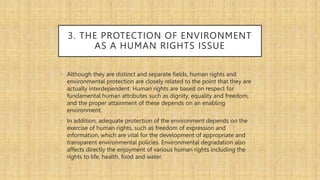 environment and human rights | PPTX