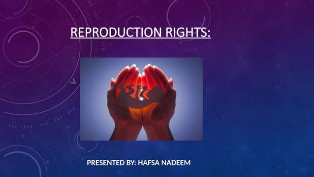 Rights of human (human rights ppt docs.) | PPTX