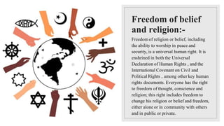 Presentation on human rights for English , social studies students | PDF