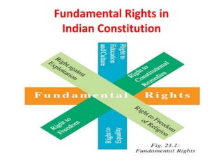 Human rights and fundamental rights | PPTX