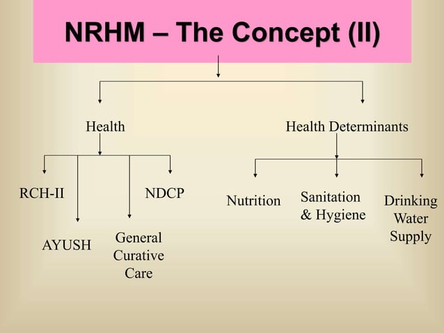 Human rights and Health | PPT