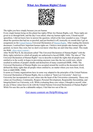 Human Rights Essay Writing | PDF