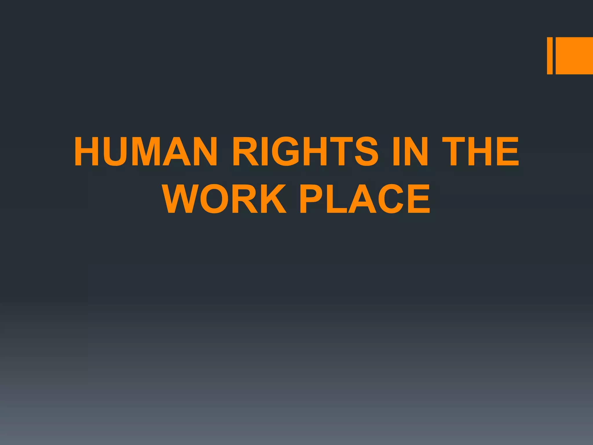 Human Rights in the workplace | PPTX