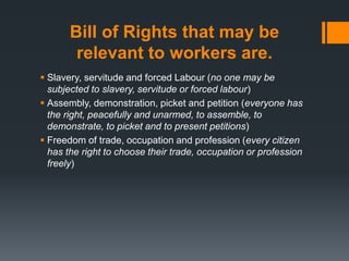 Human Rights in the workplace | PPTX
