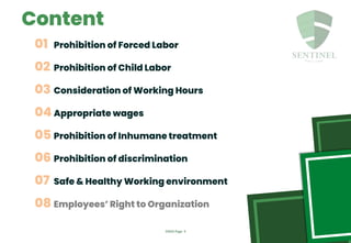 HumanRights in the workplace (2023).pptx