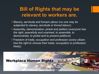 Human rights in the work place presatation | PPTX