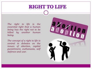 Human rights and its execution's in the world | PPT