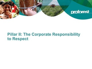 Human rights proforestpillarii_draft1 | PPT