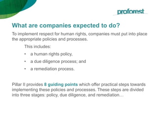 Human rights proforestpillarii_draft1 | PPT