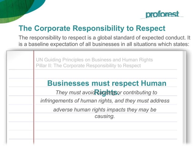 Human rights proforestpillarii_ld_edit (2) | PPT