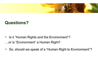 Human Right To Environment Mu 2012 | PPT