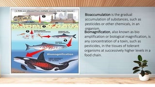 HUMANS-AND-ENVIRONMENT.pptx