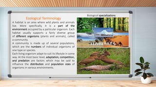 HUMANS-AND-ENVIRONMENT.pptx