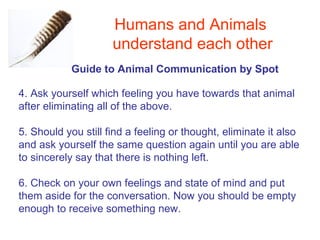 Humans and animals understand each other | PPT
