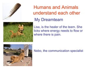 Humans and animals understand each other | PPT