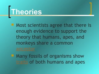 Humans and other primates | PPT
