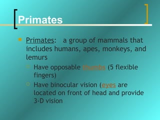 Humans and other primates | PPT