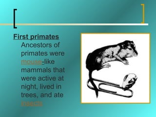 Humans and other primates | PPT