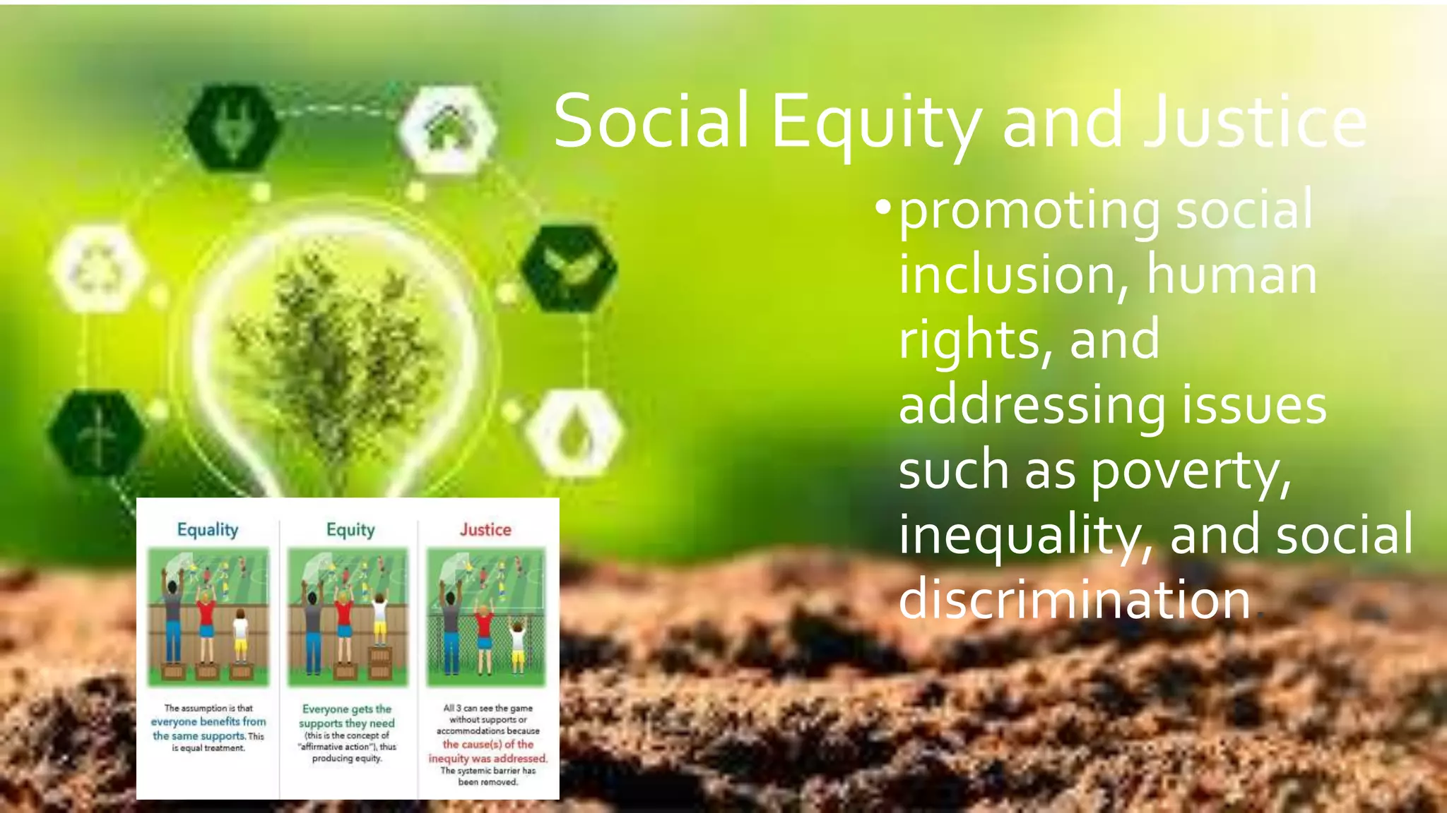 Humans and Sustainability-report.pptx