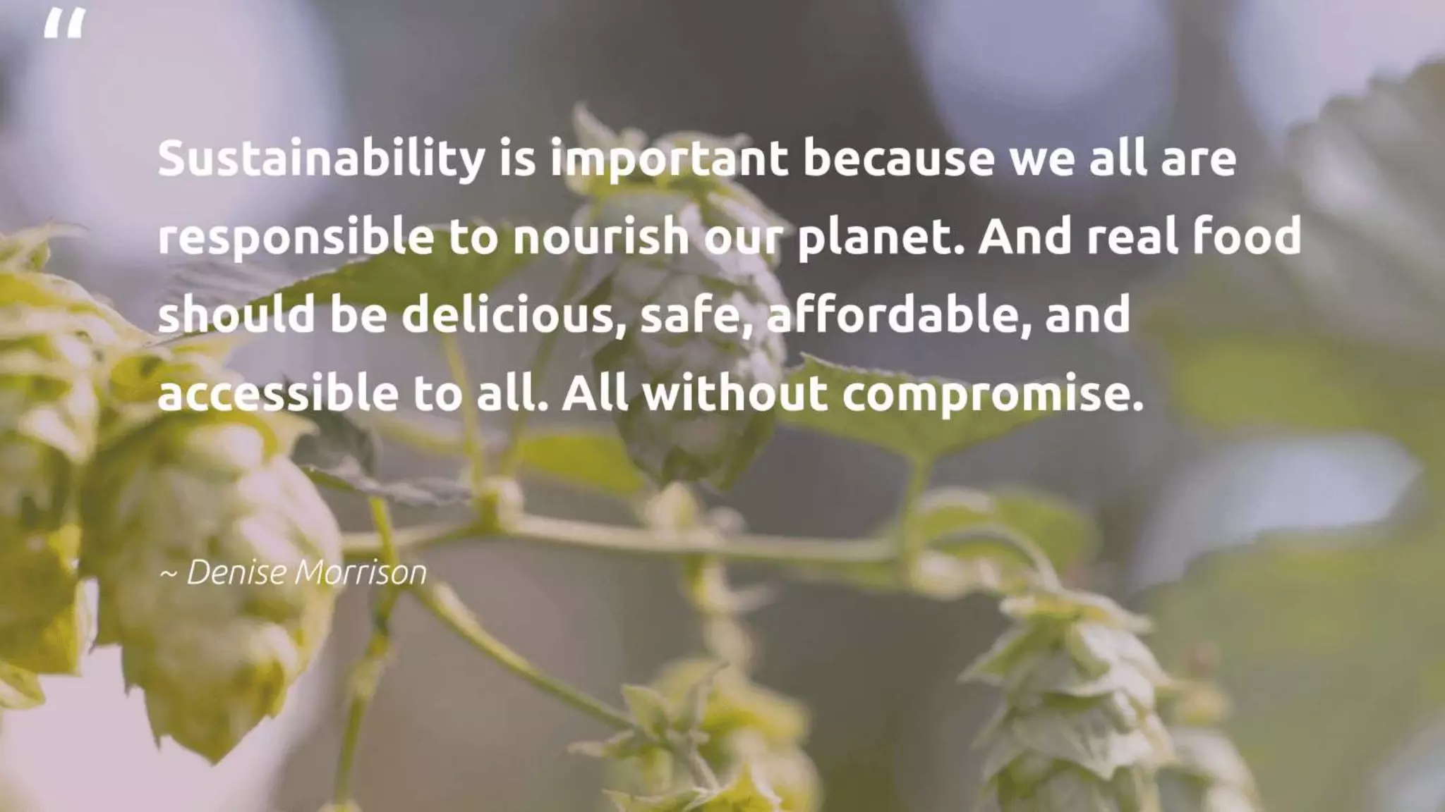 Humans and Sustainability-report.pptx