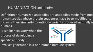 HUMANSATION ANTIBODY | PDF