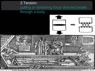 Humans body and structure engineering | PPT