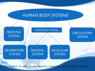 Human's body systems | PPT