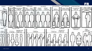Human scale | PDF