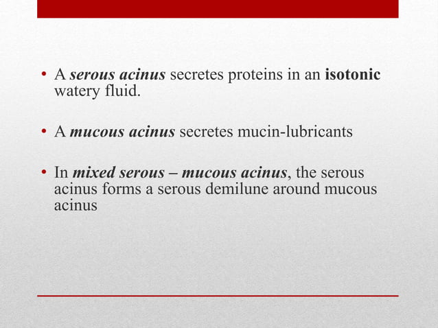 human secretion like saliva in the process.pptx