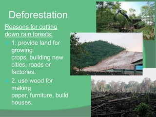 Humans' effect on ecosystems | PPT