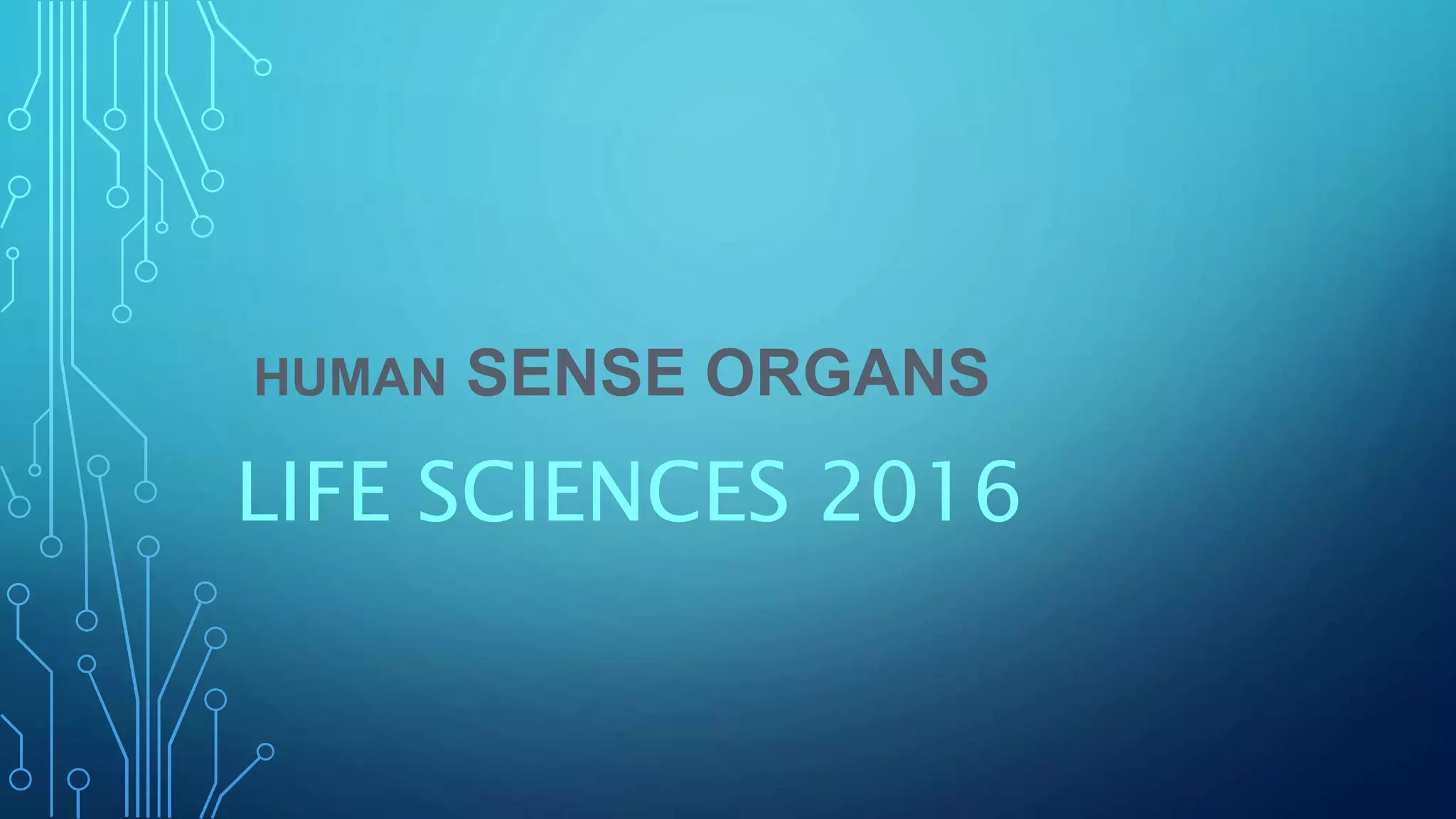 Human sense organs | PPTX