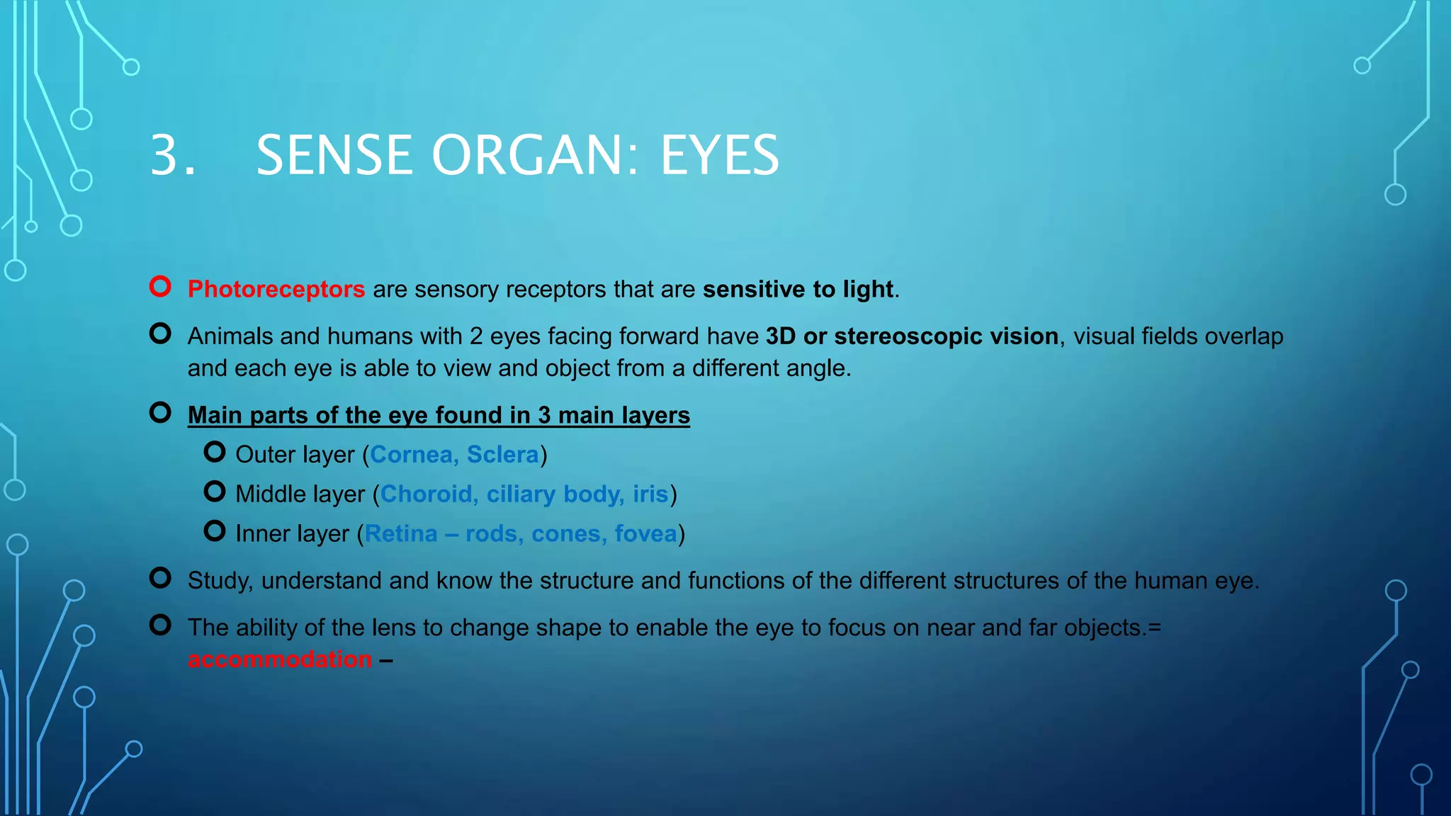 Human sense organs | PPTX