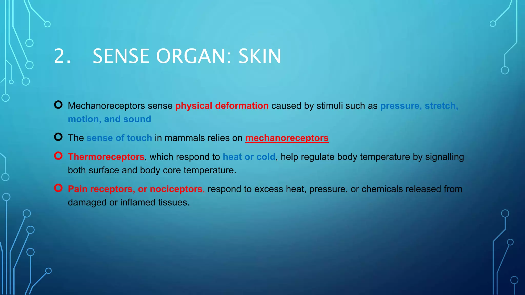Human sense organs | PPTX