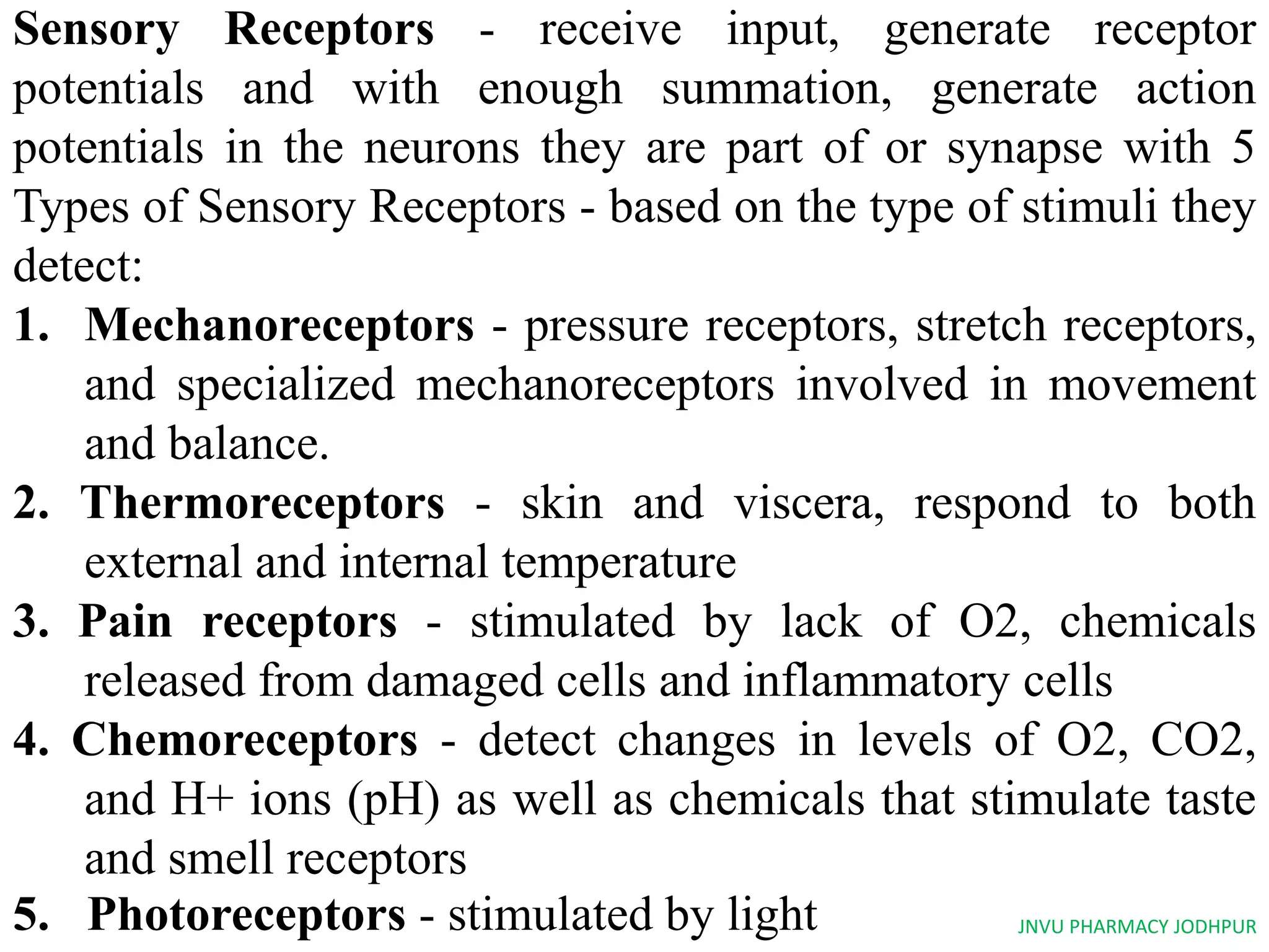 HUMAN SENSORY ORGANS | PPT