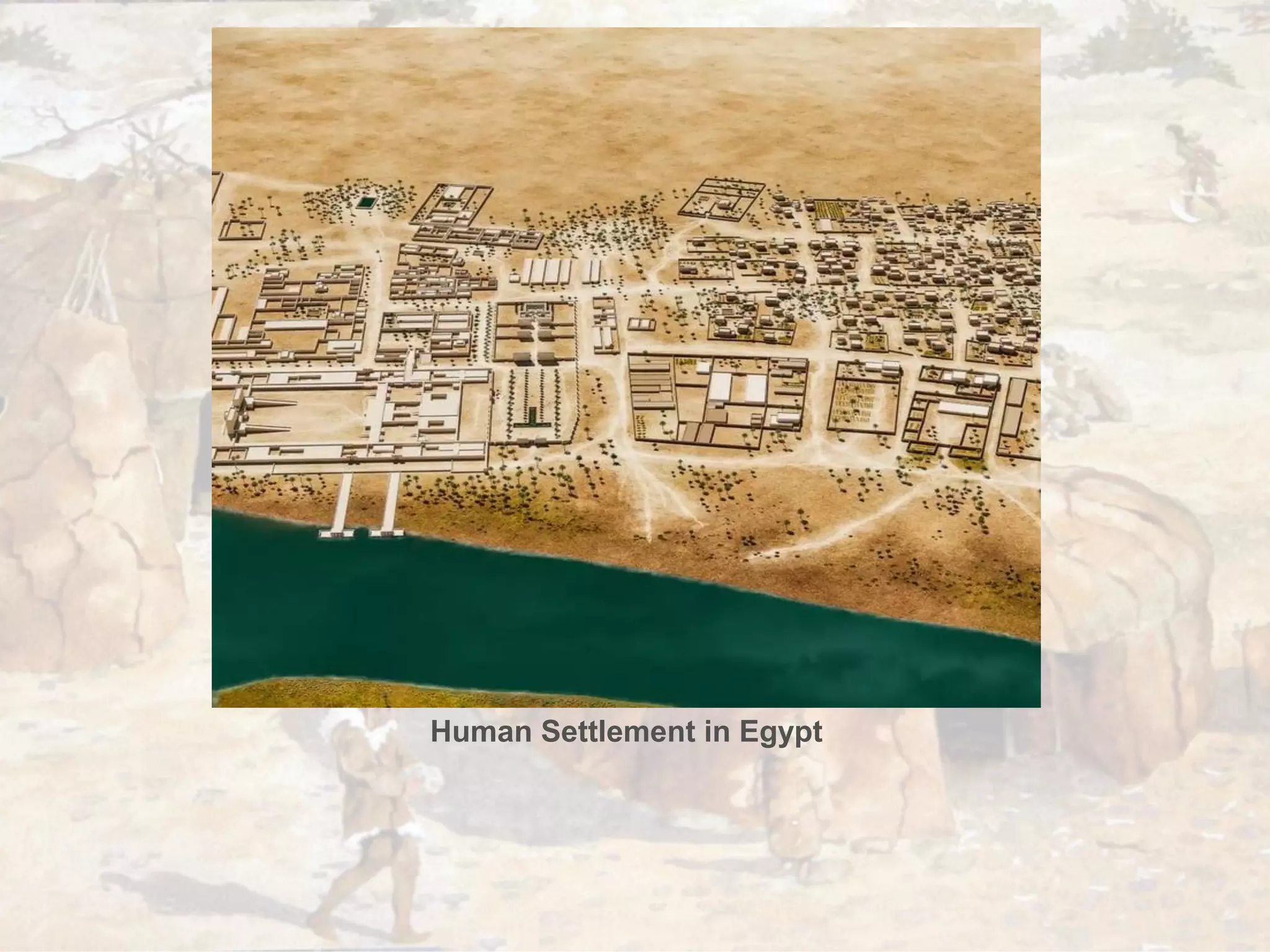 Human settlement | PDF
